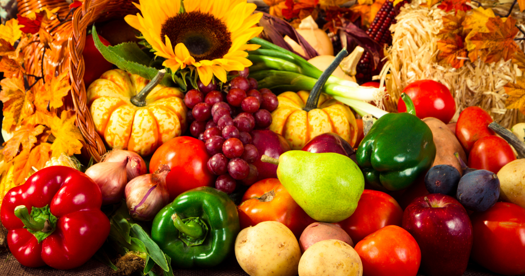 The most nutritious, delicious fall foods – FloradixUSA.com